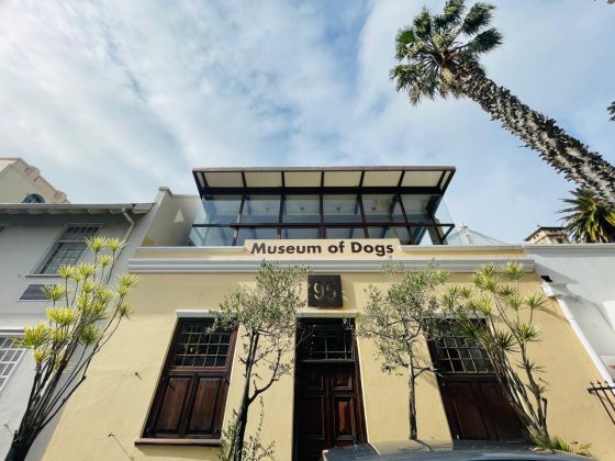 ICYMI: Unique Museum of Dogs opens in Cape Town
