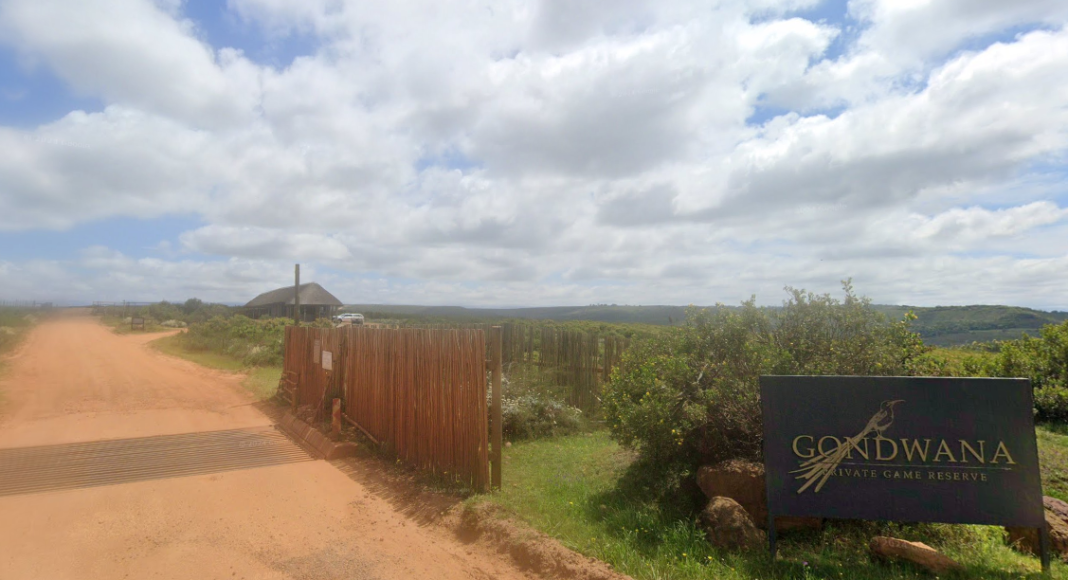 Mossel Bay man trampled to death by elephant - Smile 90.4FM