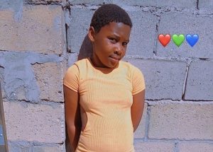 Child dies after police van crash in Delft; officers attacked - Smile ...